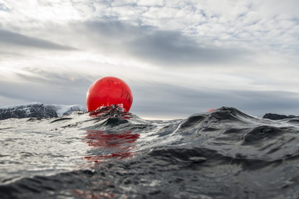 Contact - Polyform AS – Get in Touch With Polyform AS